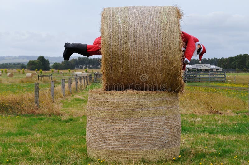 Santa Claus in the hay stock photo. Image of park, santa - 41007502