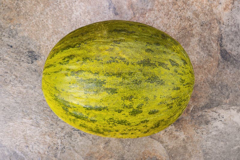 292 Ripe Santa Claus Melon Stock Photos - Free & Royalty-Free Stock ...