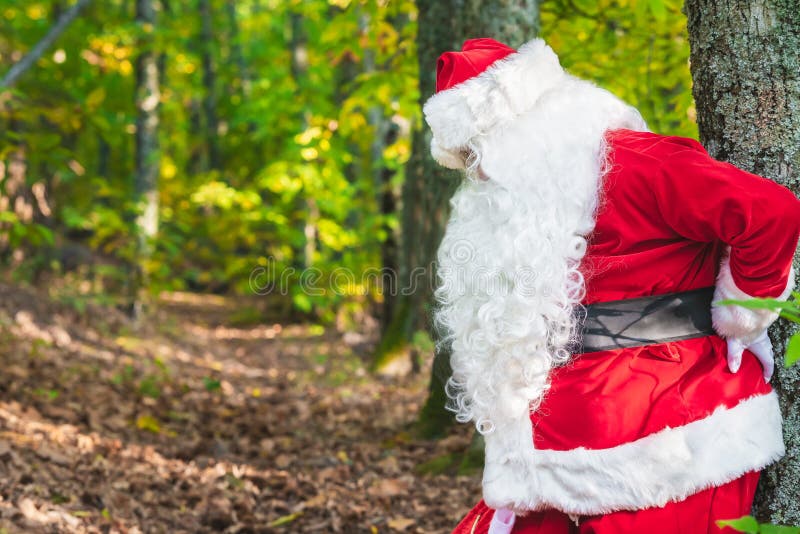 Santa Claus Is Suffering From Back Pain On Forest Stock Image - Image ...