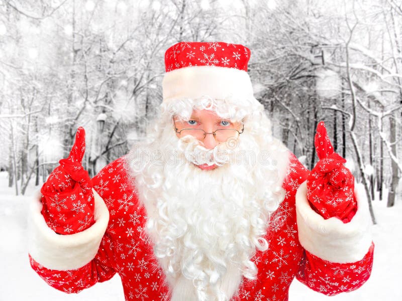 Santa Claus in Winter Forest Stock Image - Image of costume, santa ...