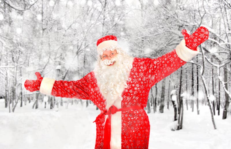 Santa Claus in Winter Forest Stock Photo - Image of point, claus: 35065770
