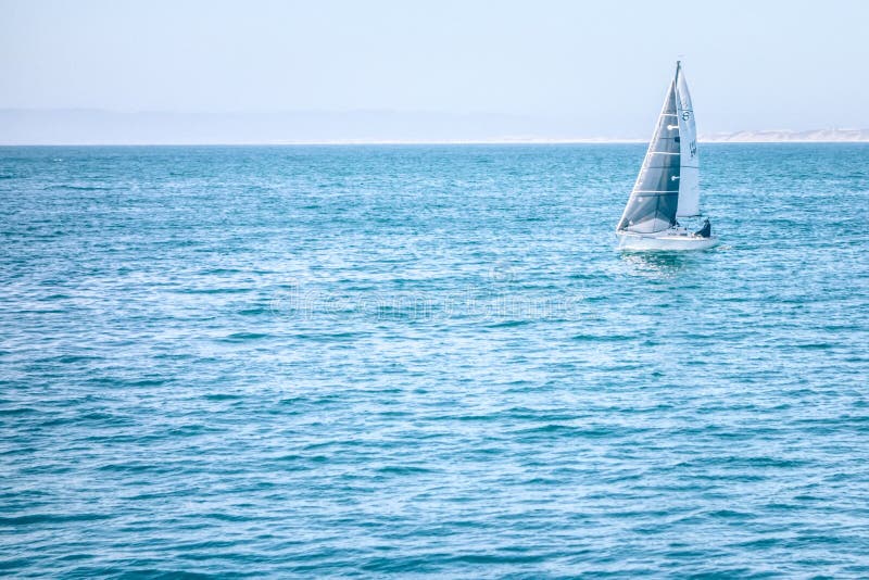 Santa Cruz California Beach and Coastline in Spring Editorial Photo ...