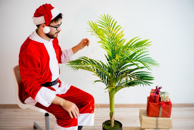Santa decorating a tree stock photo. Image of person - 94326384