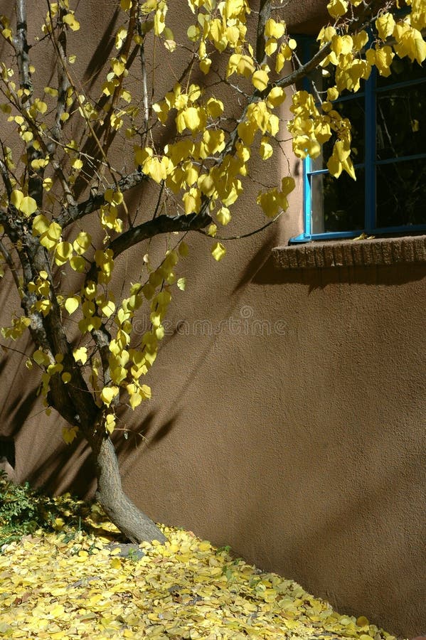 Santa Fe autumn stock photo. Image of yellow, adobe, background - 1513770