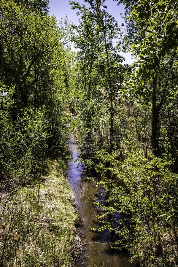 Santa Fe River stock photo. Image of beauty, brook, woods - 218661178