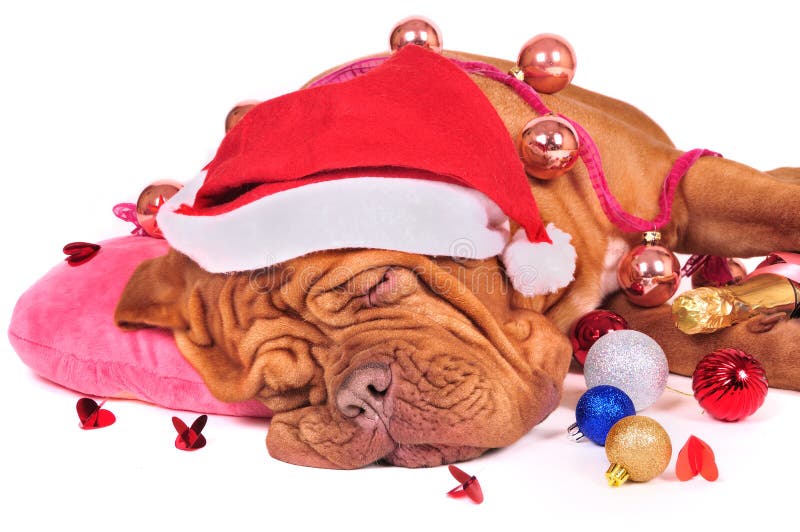 Santa Fell Asleep stock image. Image of bordeaux, clothing - 16844729