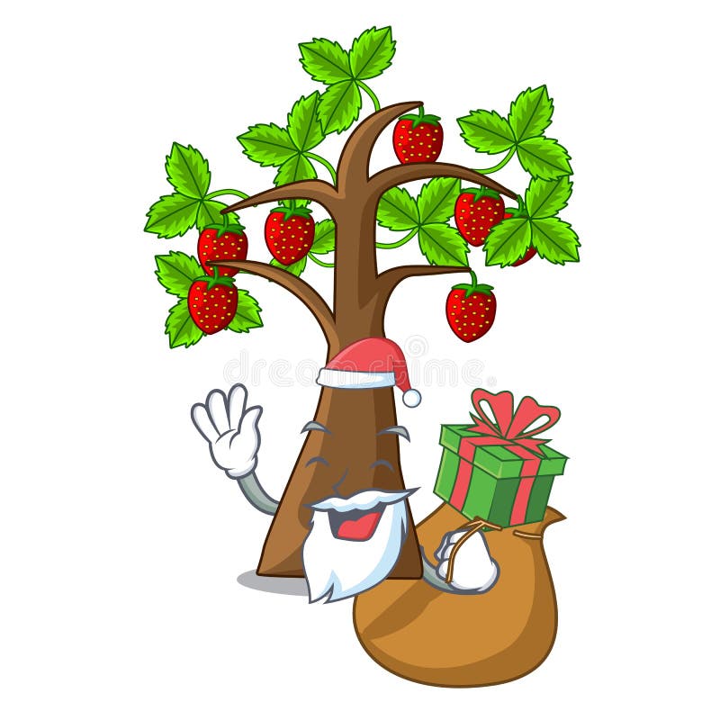 Santa with Gift Strawberry Tree Isolated with the Cartoon Stock Vector ...