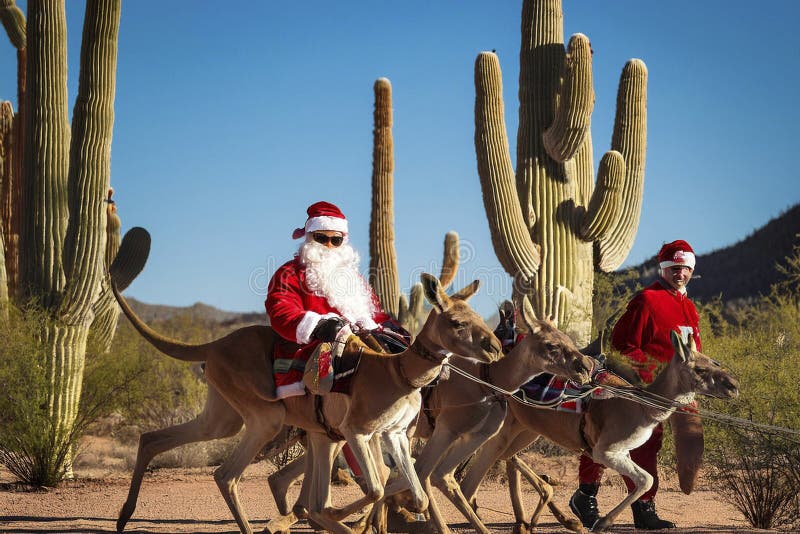 Santa on a Kangaroo AI Generated Stock Illustration - Illustration of ...