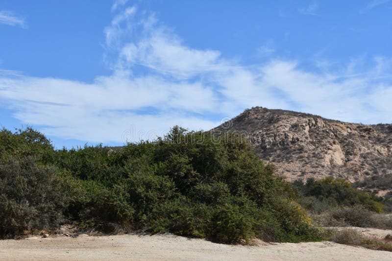 Santa Maria Beach (Playa Santa Maria) in Los Cabos, Mexico Stock Image ...