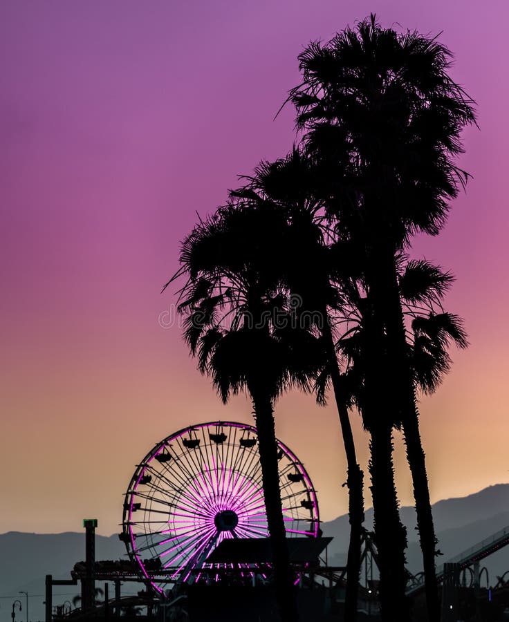 Santa Monica Pacific Park Palm Trees Editorial Stock Photo - Image of ...