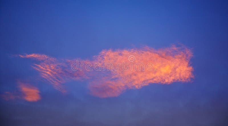 Fish cloud stock photo. Image of landscapes, shape, dusk - 43901326