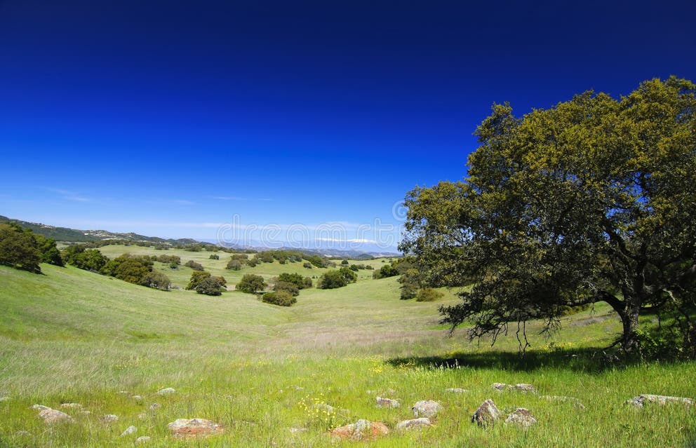 Santa Rosa Plateau in Spring Stock Photo - Image of ecology, calm: 19996104