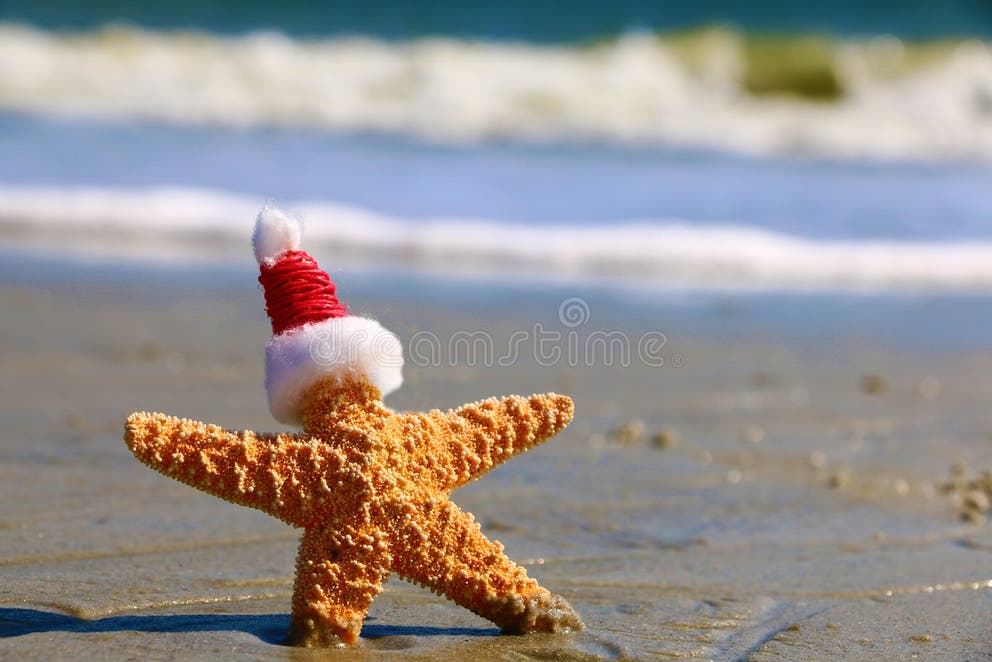 Santa Starfish stock image. Image of sand, festive, santa - 62700745