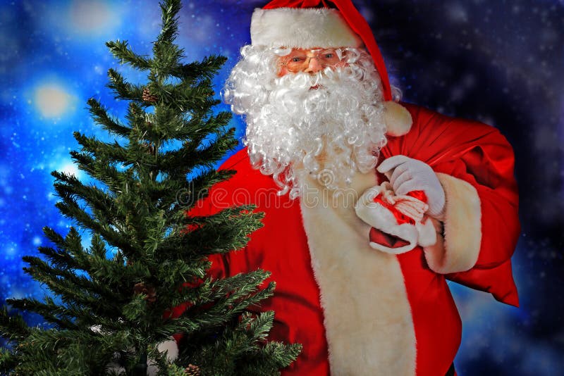 Santa with a tree stock photo. Image of festive, santa - 12046956