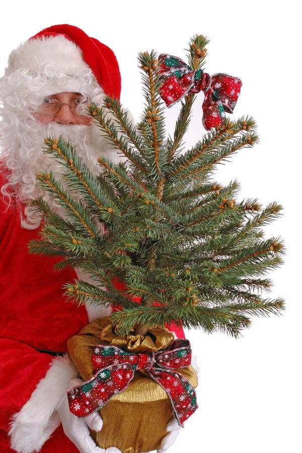 Santa with xmas tree stock image. Image of present, claus - 7244961