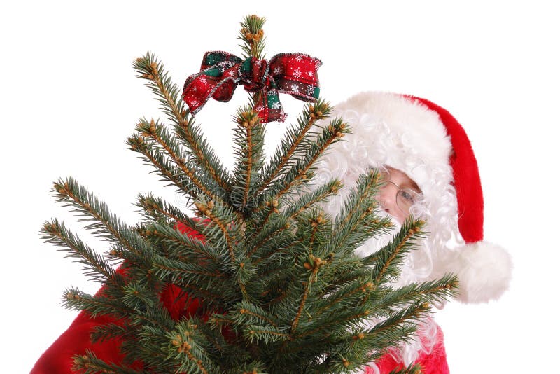 Santa with xmas tree stock photo. Image of cockade, ribbon - 7287004