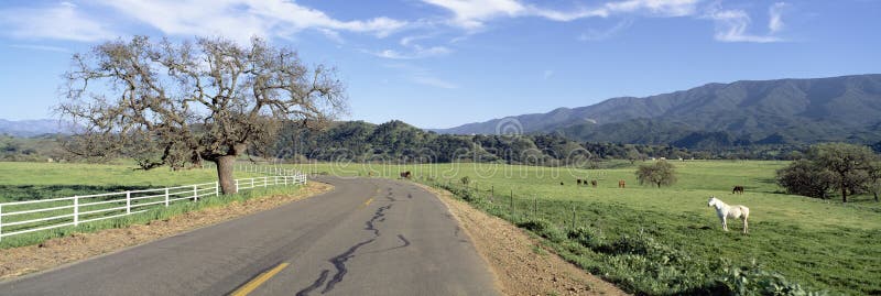 Santa Ynez Mountains in Spring Stock Photo - Image of california ...
