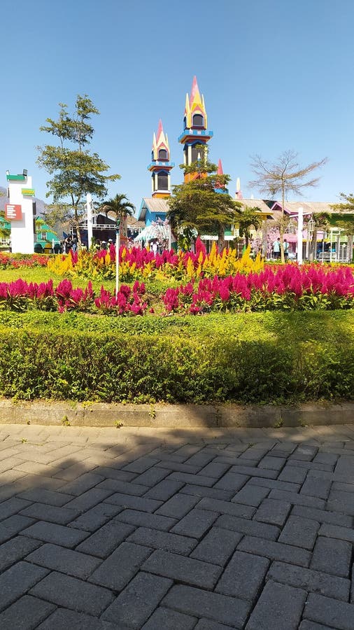 Laporte Flower Stock Photos - Free & Royalty-Free Stock Photos from ...