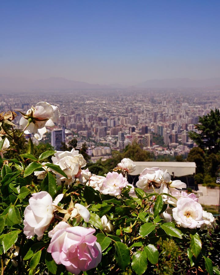 Santiago De Chile with Roses Stock Image - Image of santiago ...
