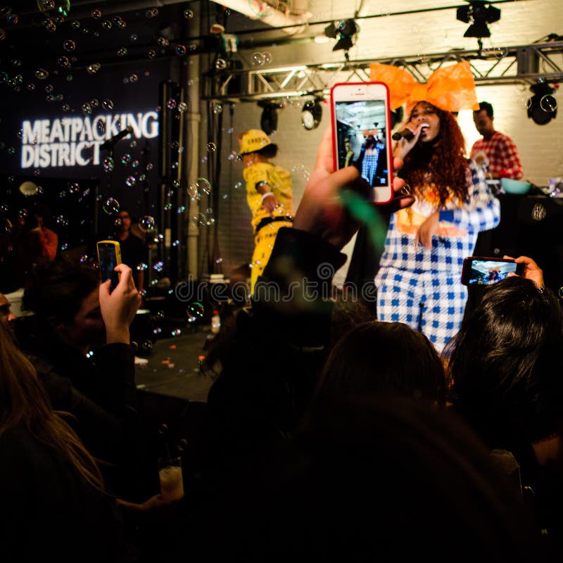 Santigold editorial photo. Image of concert, santigold - 60341951