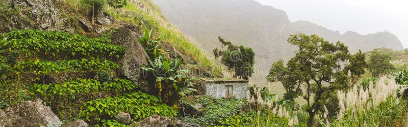 Santo Antao Mountains with Small Cascade Farm of Lotuses Stock Image ...