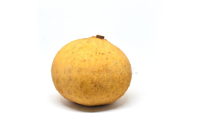 Santo Fruit is a Tropical Fruit on Isolate Blackground. Stock Photo ...