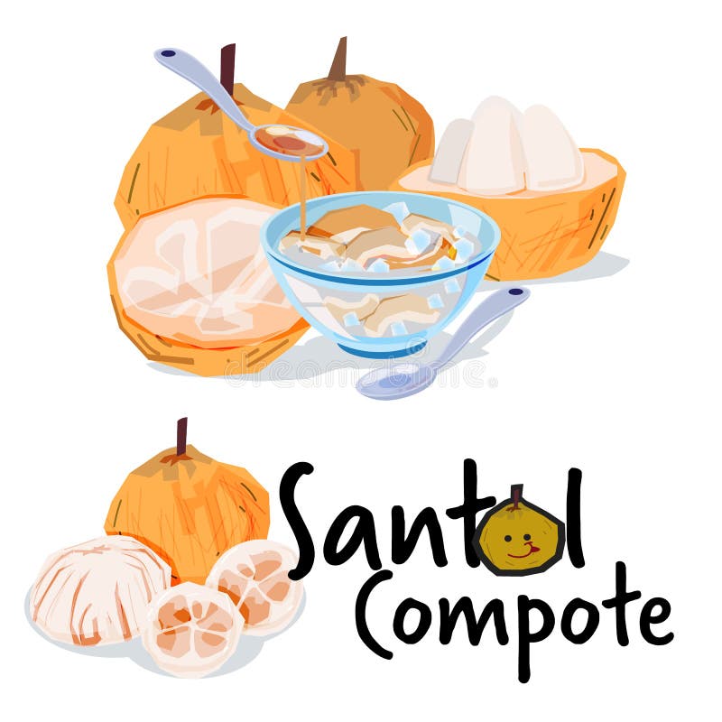 Santol Compote, Santol Fruit. Tropical Fruit Concept - Vector Stock ...