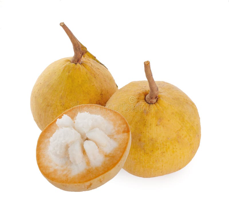 Santol Fruit Isolated on White Background Stock Image - Image of ...