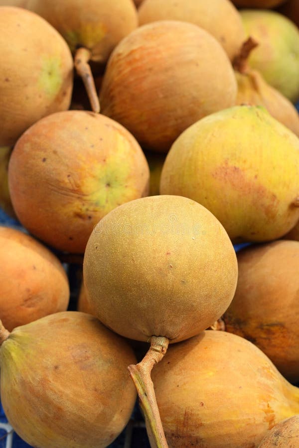 Santol fruit in the market stock image. Image of round - 41087309
