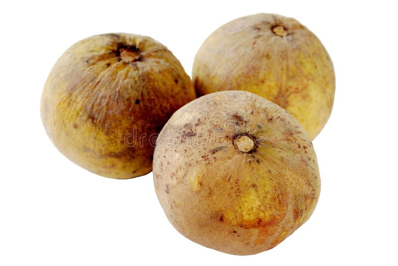Santol Fruit Philippines (Sandoricum Koetjape) Stock Image - Image of ...