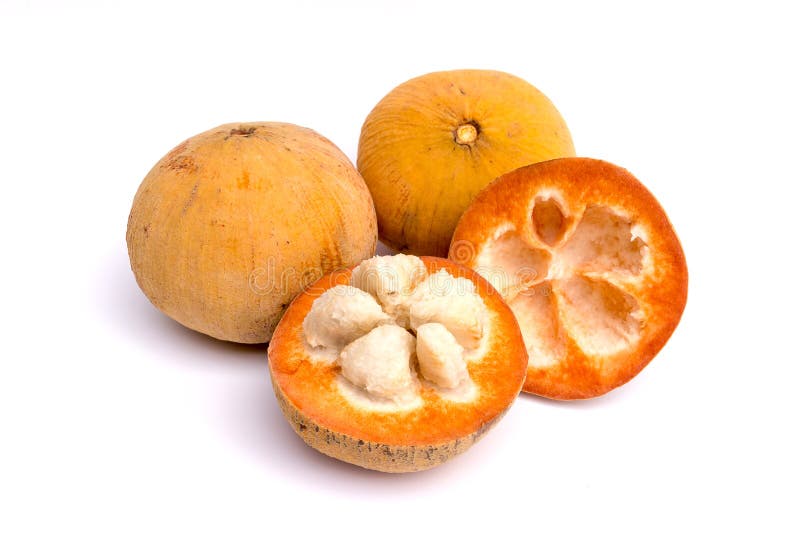 Santol Fruits stock image. Image of freshness, fresh - 32925731