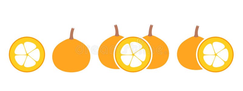 Thailand Santol Fruit Stock Illustrations – 28 Thailand Santol Fruit ...