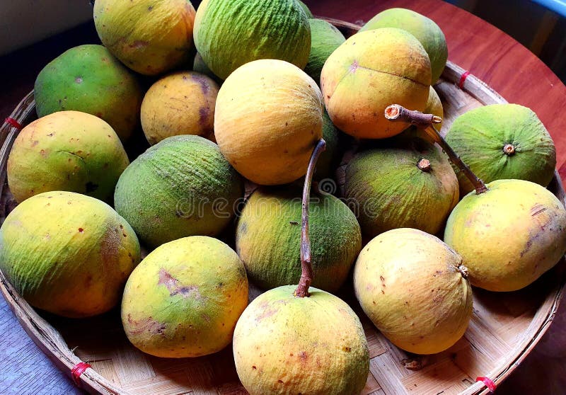 Santol stock image. Image of evergreen, strawberry, flower - 207600631