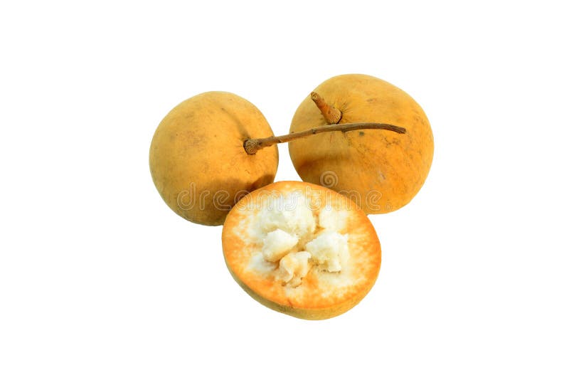Santol stock image. Image of halve, delicious, healthy - 61112109