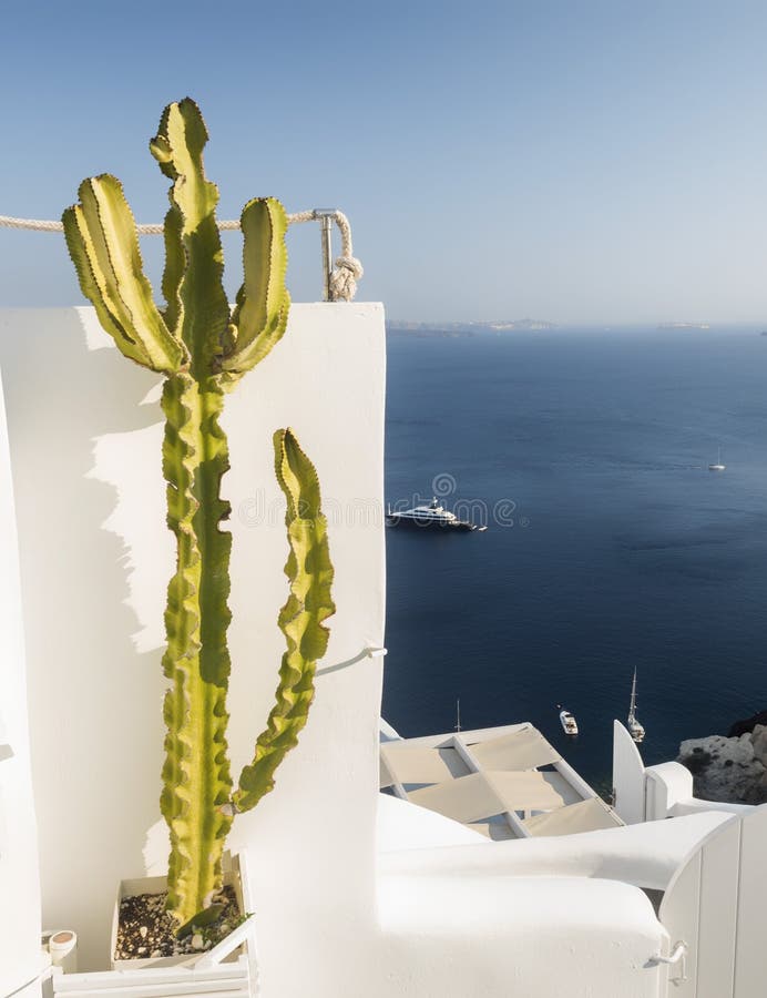 Santorini Cactus and Sea, Greece Stock Photo - Image of caldera ...