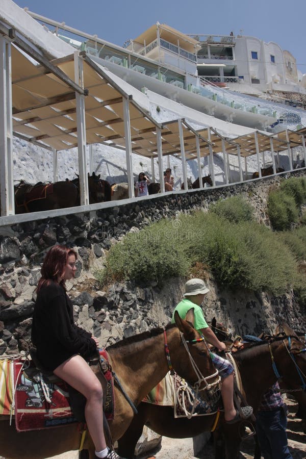 Santorini donkey ride editorial stock photo. Image of volcano - 55631843