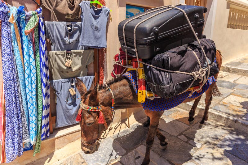 Santorini-Esel II redaktionelles stockfotografie. Bild von schönheit ...