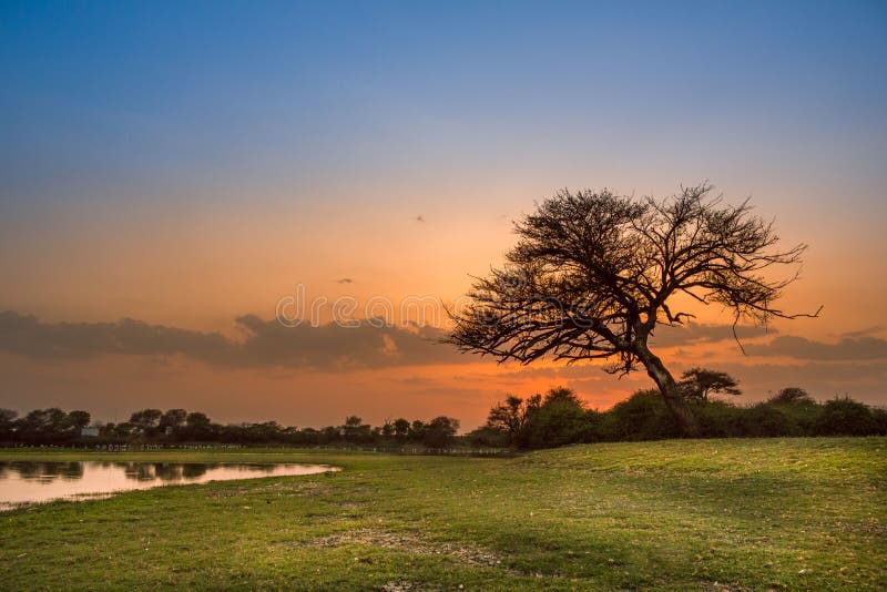Santuario de Thol imagen de archivo. Imagen de travieso - 91819559