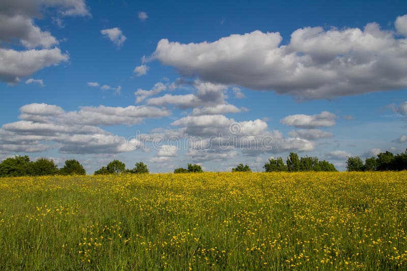 Sandwell Valley Park stock photo. Image of united, summer - 55560188