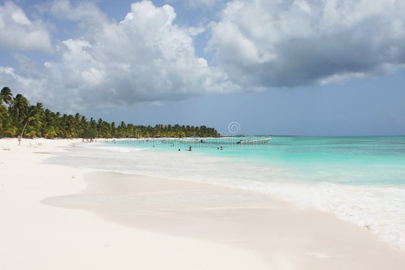 Saona Beach Picture. Image: 14037819