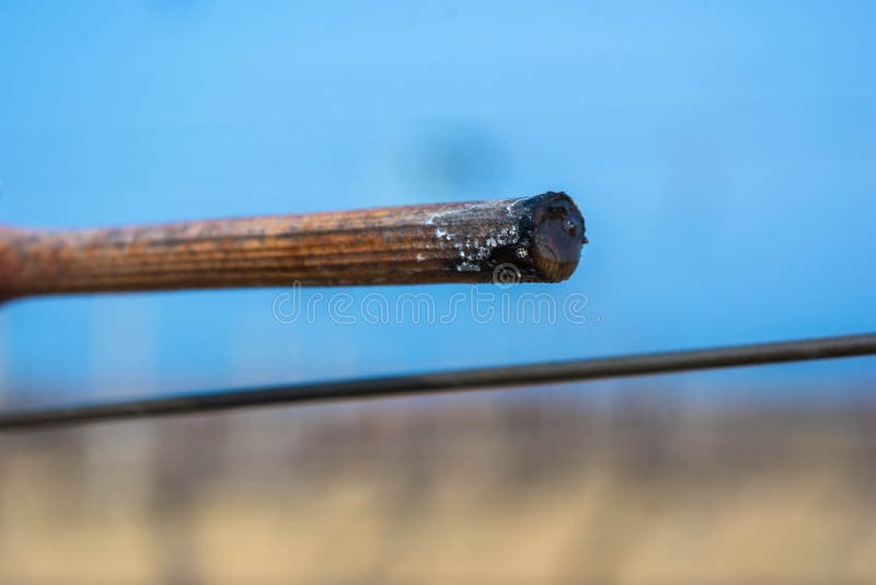 Sap flow of grape vines stock image. Image of selective - 220832921