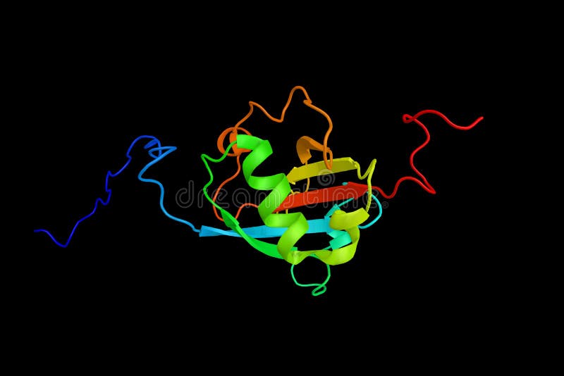 SAP18, a Protein Which Directly Interacts with SIN3 and Enhances Stock ... SAP18, a Protein Which Directly Interacts with SIN3 and Enhances Stock ...