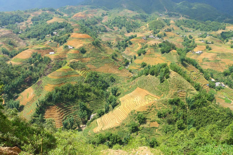 Sapa rice terraces Vietnam stock image. Image of hill - 55120321
