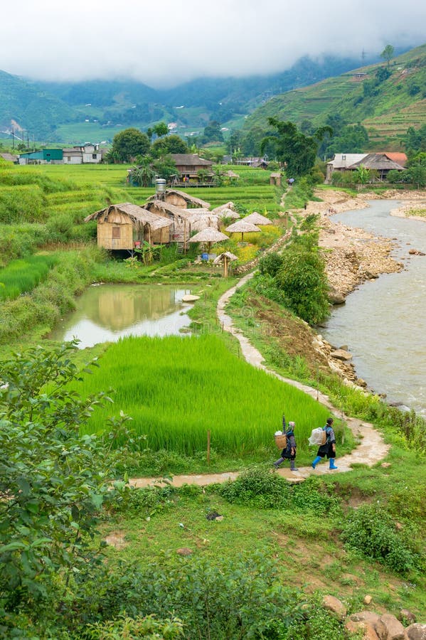 Aerial View of Vietnamese Countryside with Tourist and Local Women ... Aerial View of Vietnamese Countryside with Tourist and Local Women ...