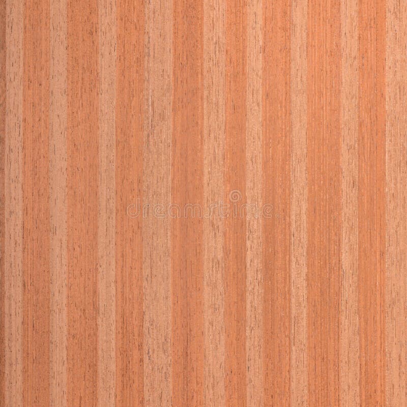 Sapele (texture en bois) image stock. Image du fibres - 23701637
