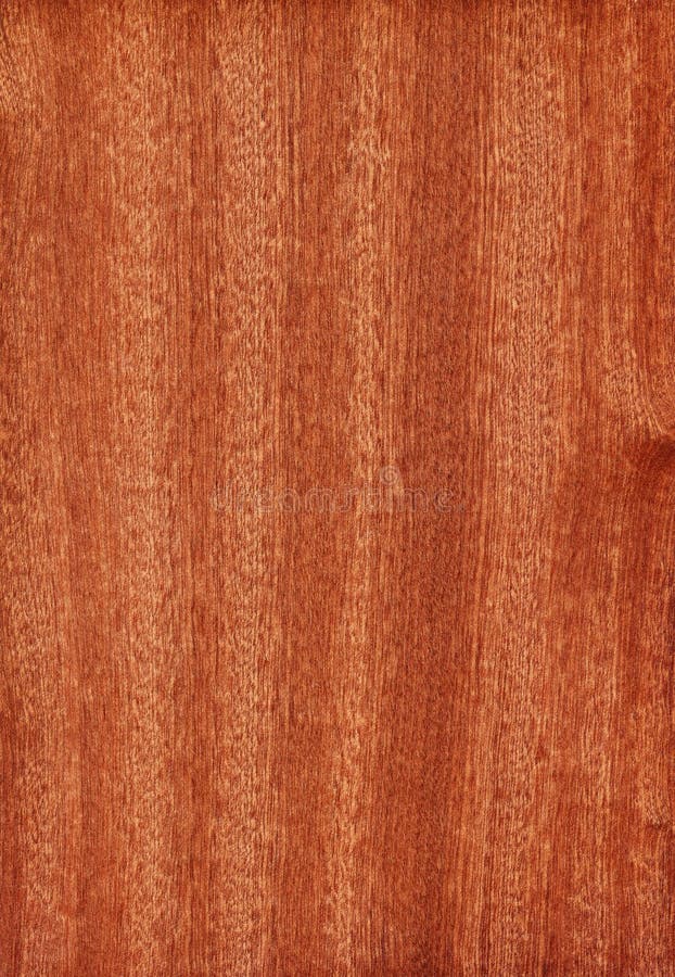 Sapele (texture en bois) image stock. Image du fibres - 23701637
