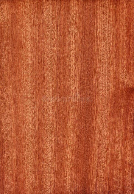 Sapele (wood texture) stock photo. Image of grain, closeup - 23701666