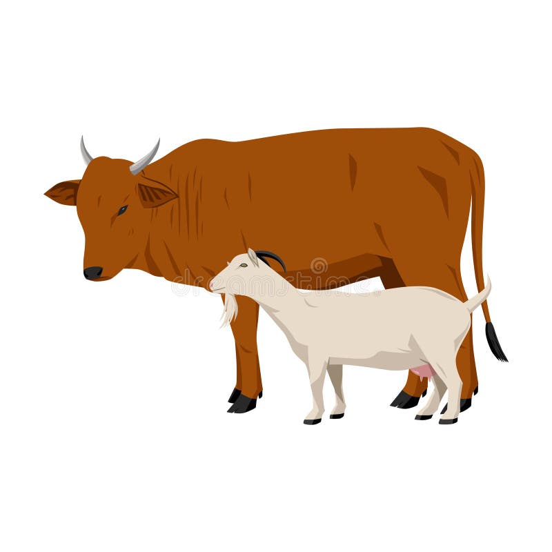Cow and Goat Vector Illustration, Animal Cartoon Stock Vector ...