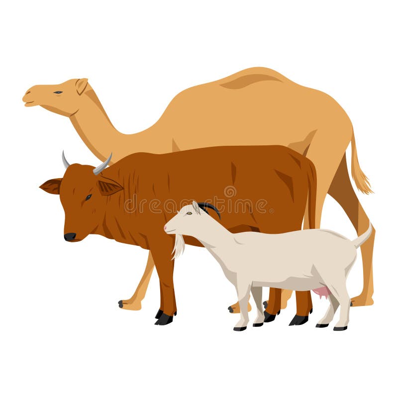 Sapi Stock Illustrations – 29 Sapi Stock Illustrations, Vectors ...