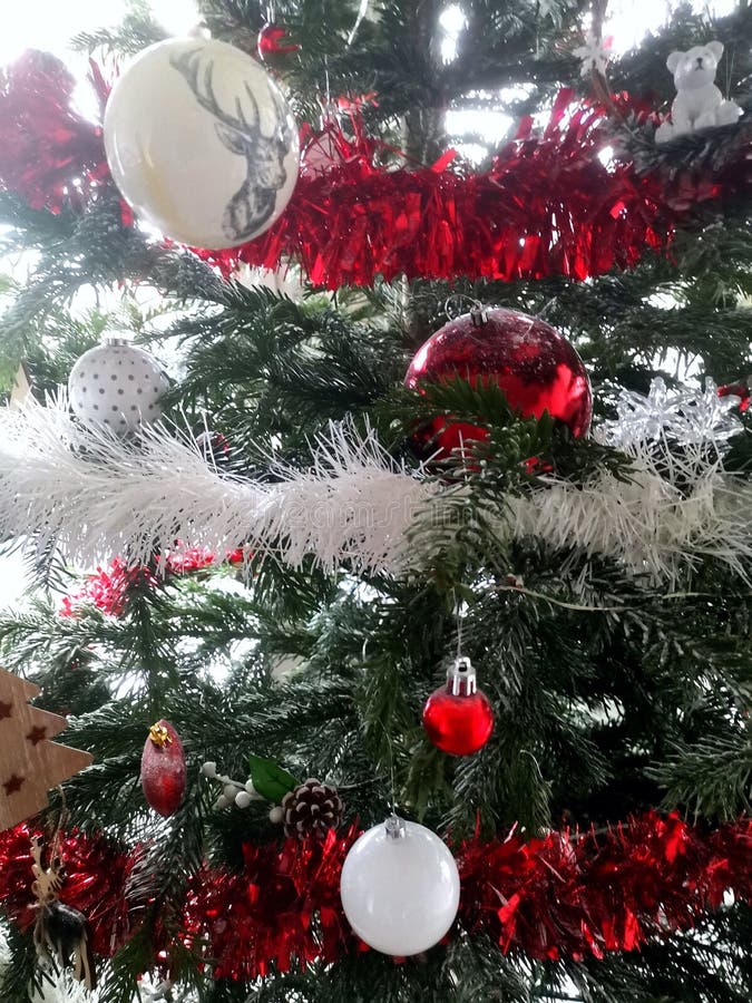 Sapin de Noel stock photo. Image of sapin, christmas - 274664772